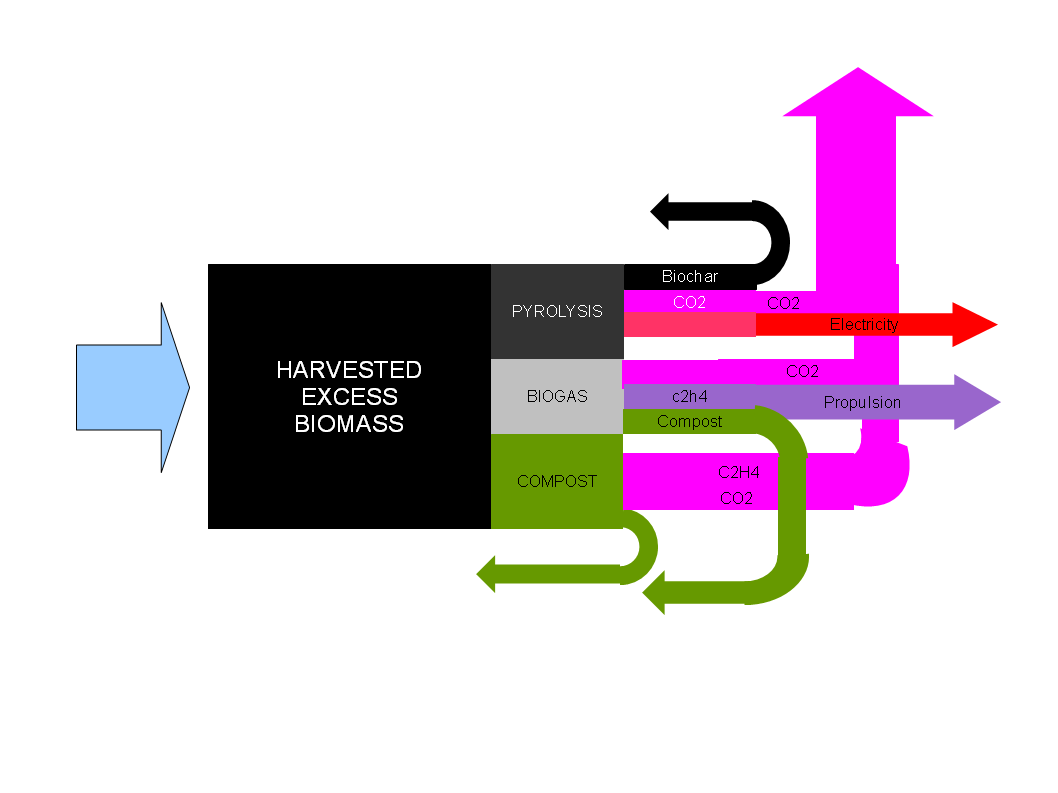 Living on biomass only: a thought experiment | Eco-units settlement design